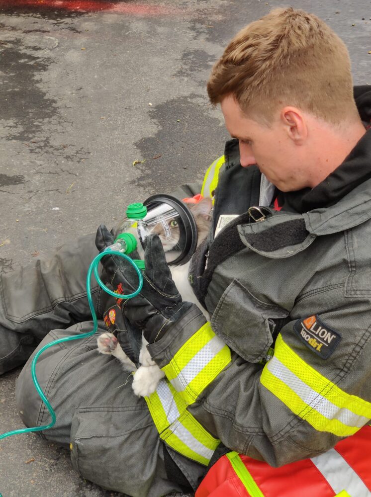 Heroic firefighters rescue cats from house fire | My Huntley News